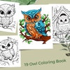 45 Cute Little Forest Animals Coloring Book Adults Kids Coloring Pages ...
