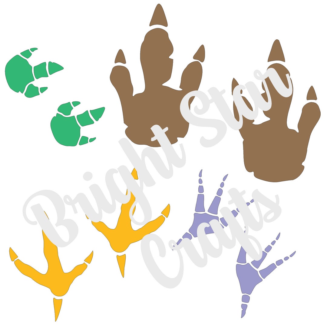 A Selection of 19 Different Dinosaur Feet - Etsy