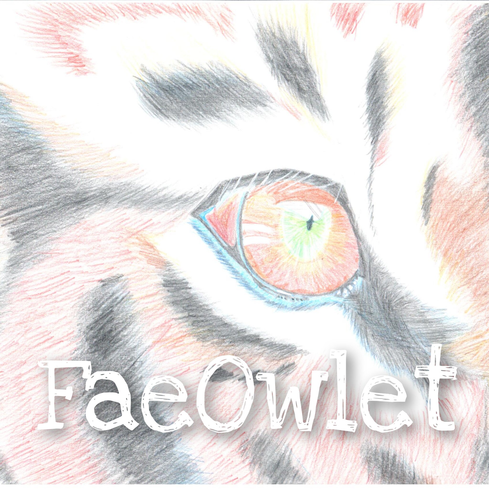 Eye of the Tiger, Sketch, Color Pencil, Wall Art, Download, Printable ...