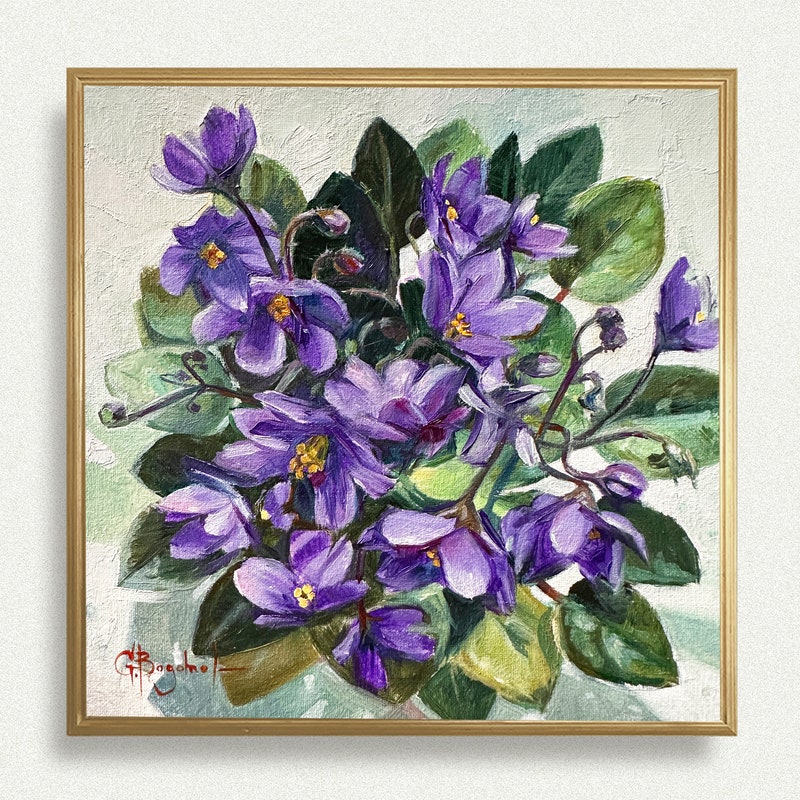 African Violet Plant - Etsy