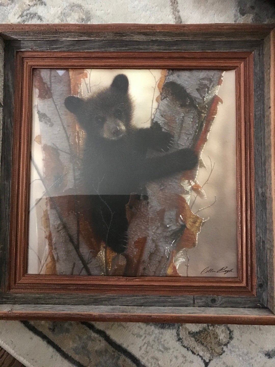 Collin Boyle Framed Bear Print - Etsy