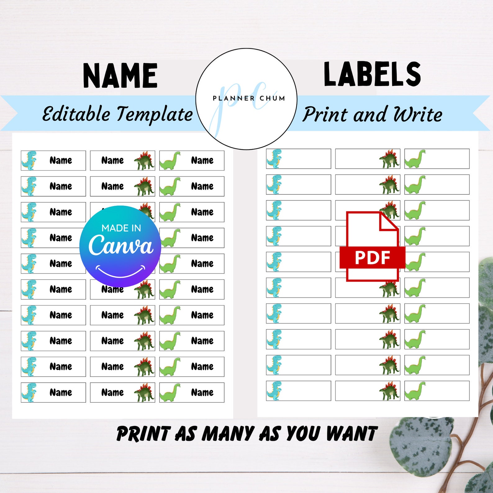 Dinosaurs Editable School Labels, Printable Name Labels for School ...