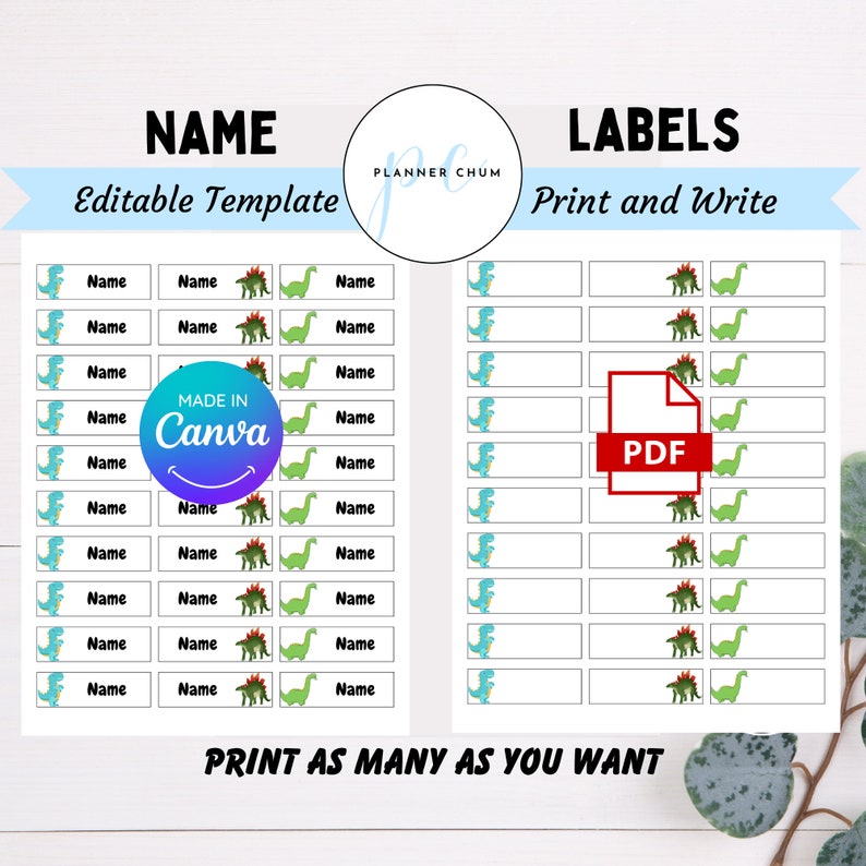 Dinosaurs Editable School Labels, Back to School Gift, Printable Name ...