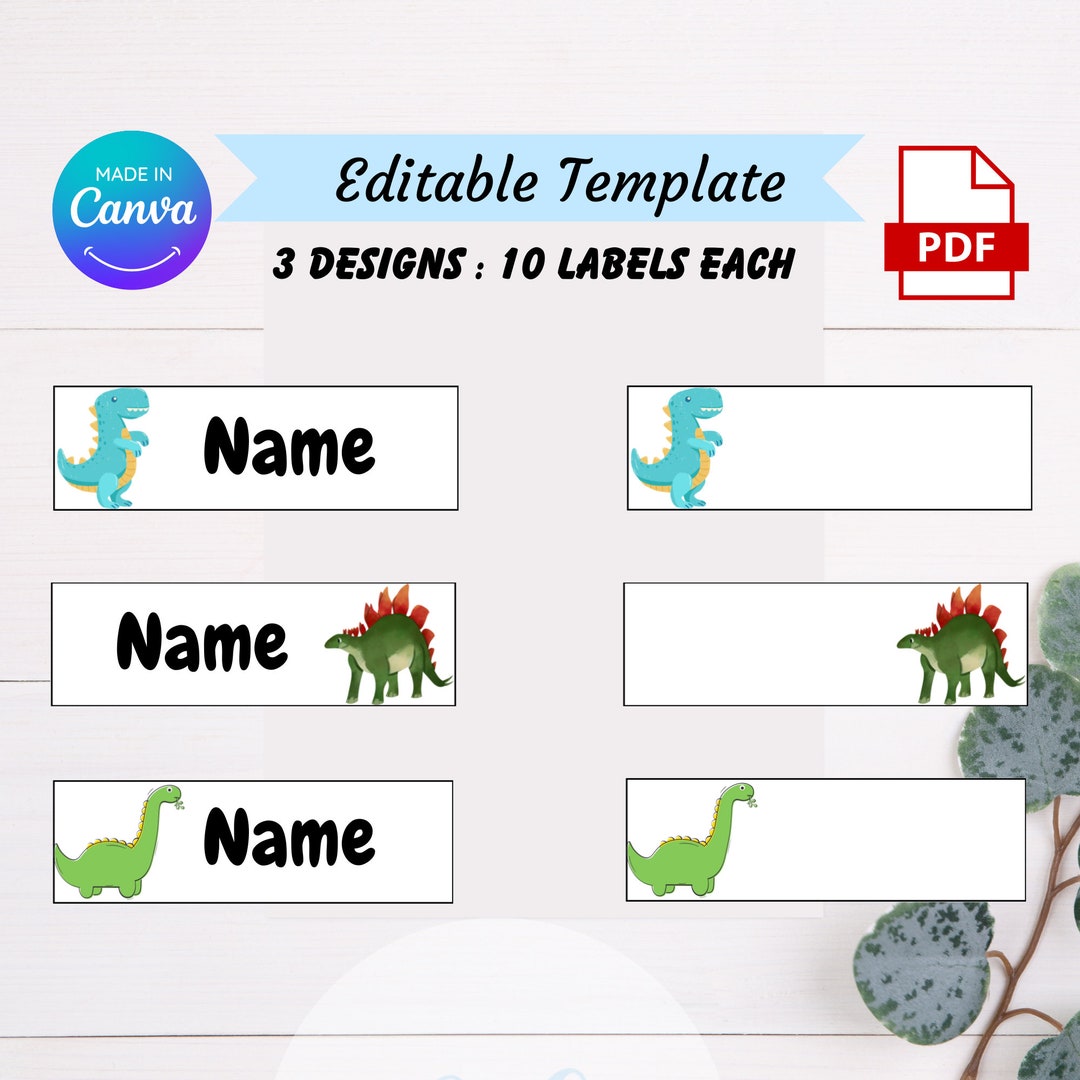 Dinosaurs Editable School Labels, Back to School Gift, Printable Name ...