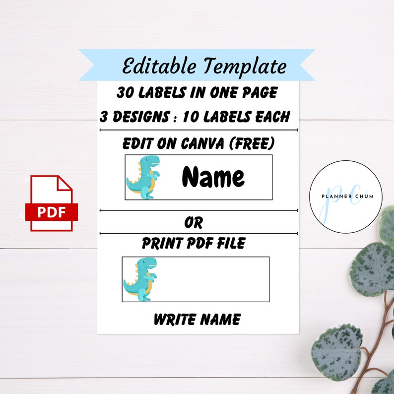 Dinosaurs Editable School Labels, Back to School Gift, Printable Name ...