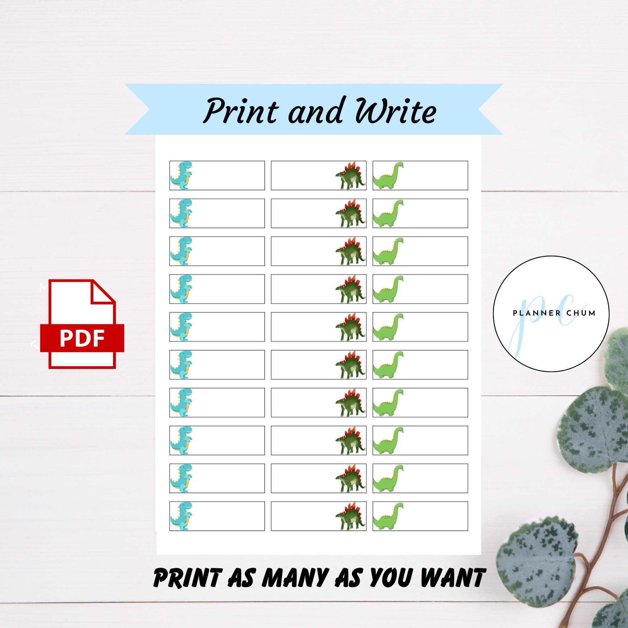 Dinosaurs Editable School Labels, Back to School Gift, Printable Name ...