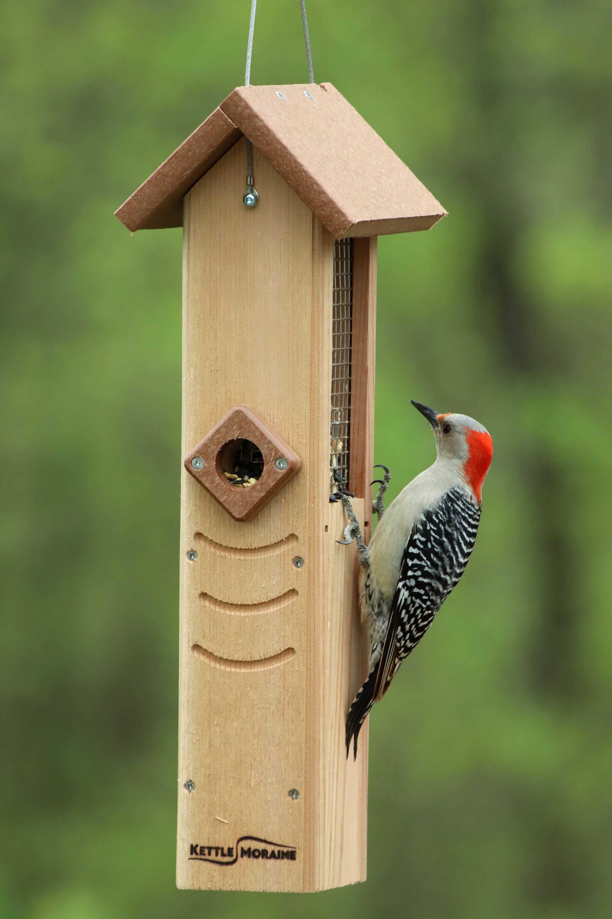 Kettle Moraine Woodpecker Screen Feeder W Recycled Roof Etsy
