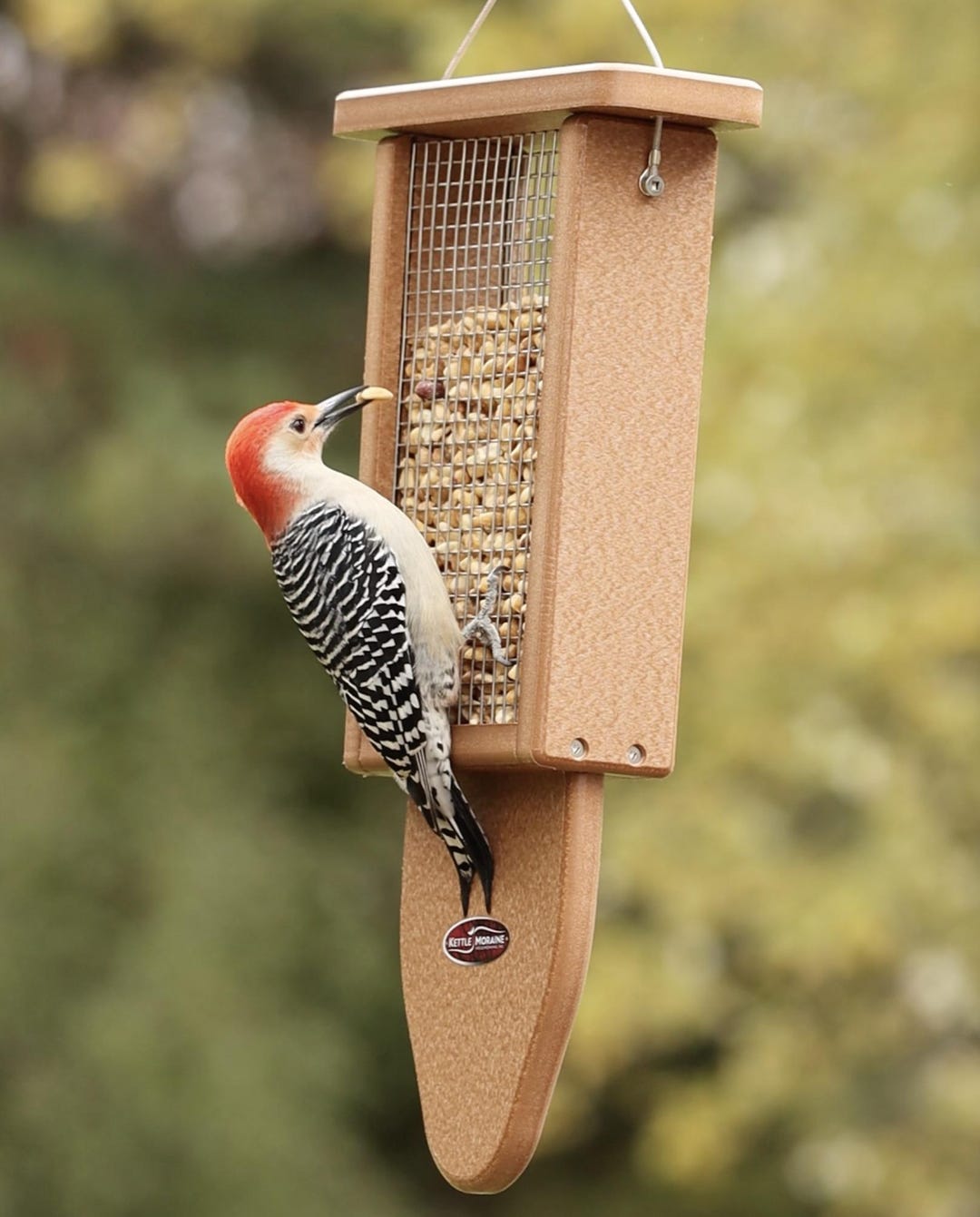 Kettle Moraine Recycled Peanut Splits Feeder With Tail Prop - Etsy