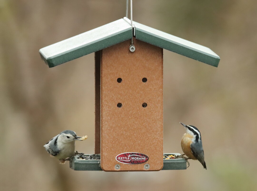 Kettle Moraine Recycled Screen Hopper Feeder (small) *NEW* - Etsy