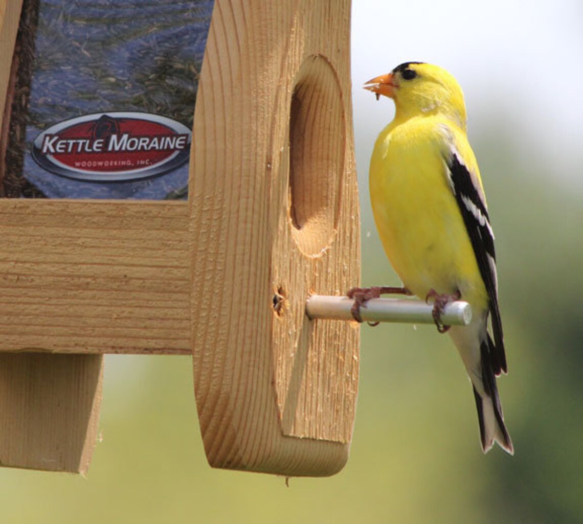 Kettle Moraine Small Wave Finch Feeder - Etsy