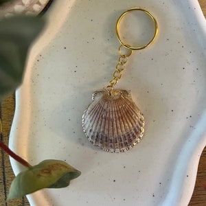 Seashell Keychain - Etsy