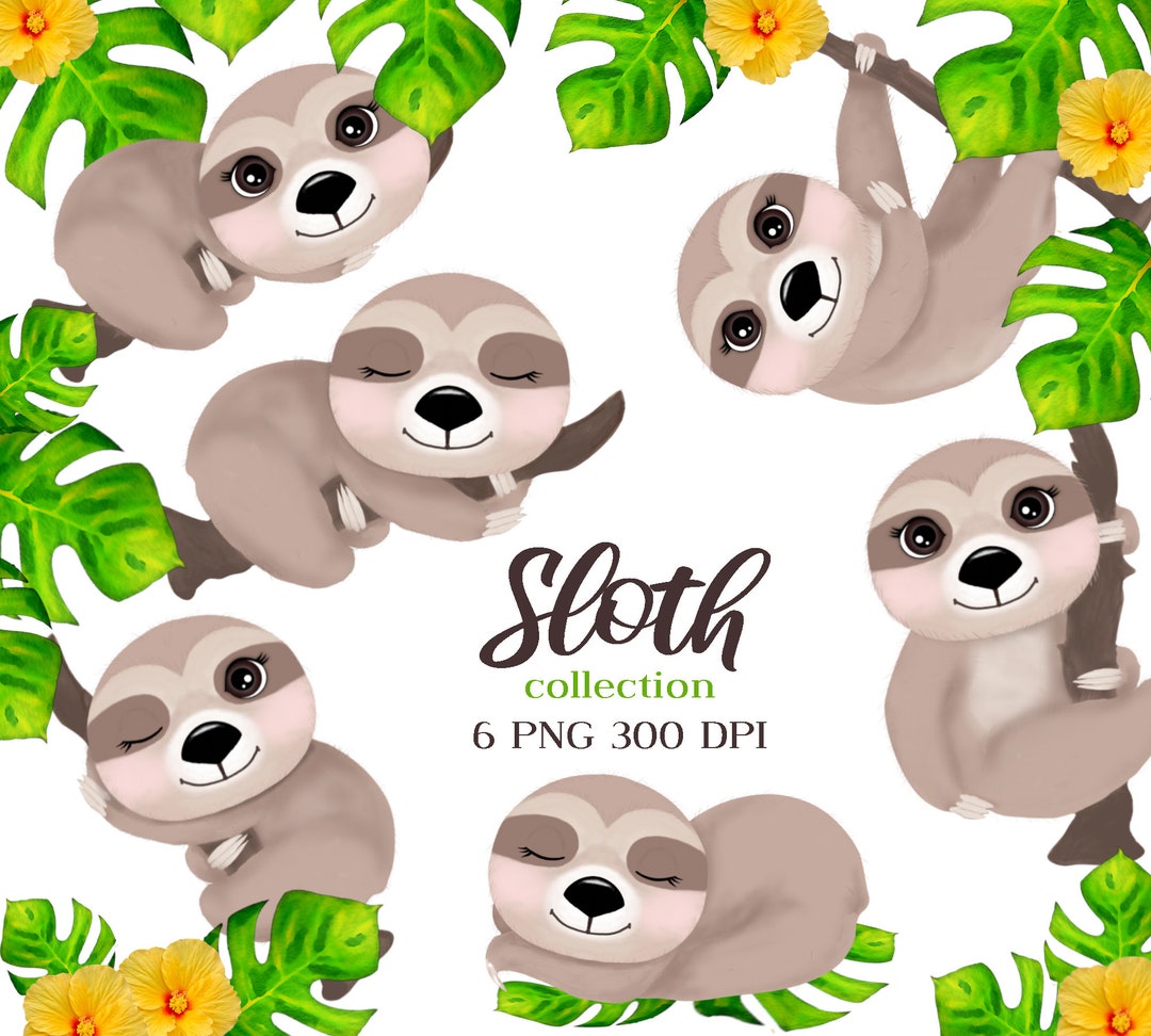 Sloth Clipart, Cute Sleep, Sloth Png, Painted Collection, Instant ...