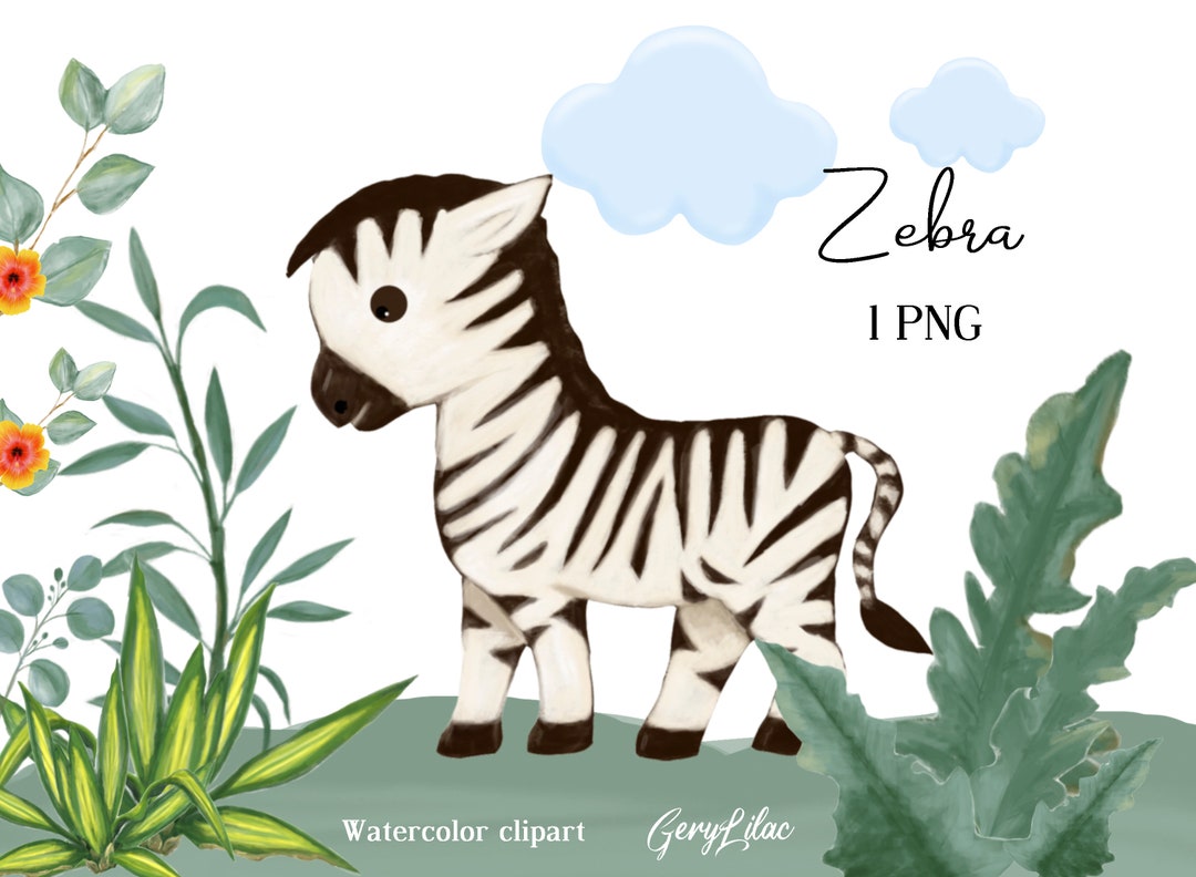 Watercolor Zebra Png, Jungle Animal Clipart, Safari Animal Clipart ...