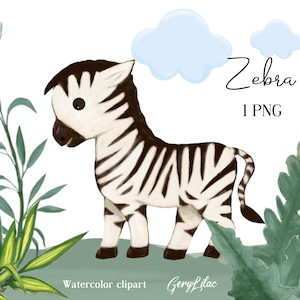 Watercolor Zebra Png, Jungle Animal Clipart, Safari Animal Clipart ...