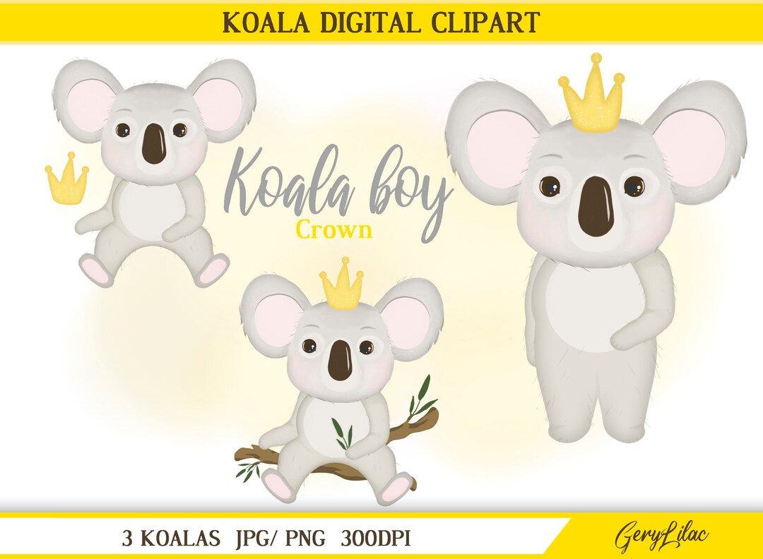 Koala Clipart, Koala Boy, Koala Decoration, Instant Download, 11005 ...