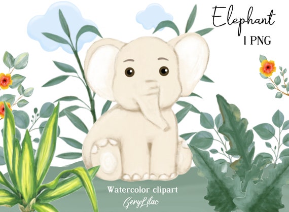 Watercolor Elephant Png Jungle Animal Clipart Safari Animal - Etsy