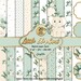 Bear Digital Paper, Teddy Bear Baby Shower, Bear With Ribbon Paper ...