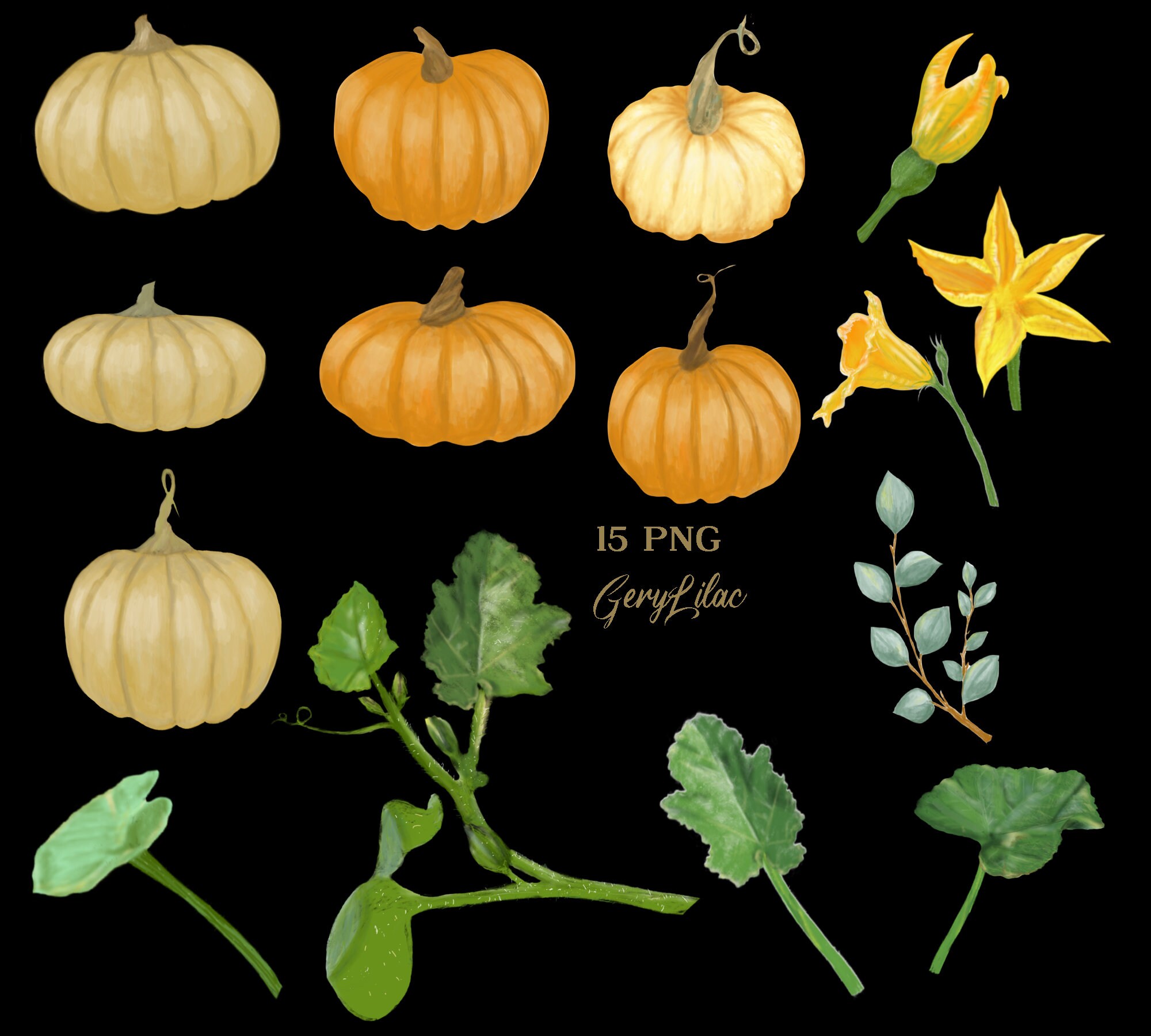 Watercolor Pumpkin Clipart Fall Clipart Thanksgiving Png - Etsy