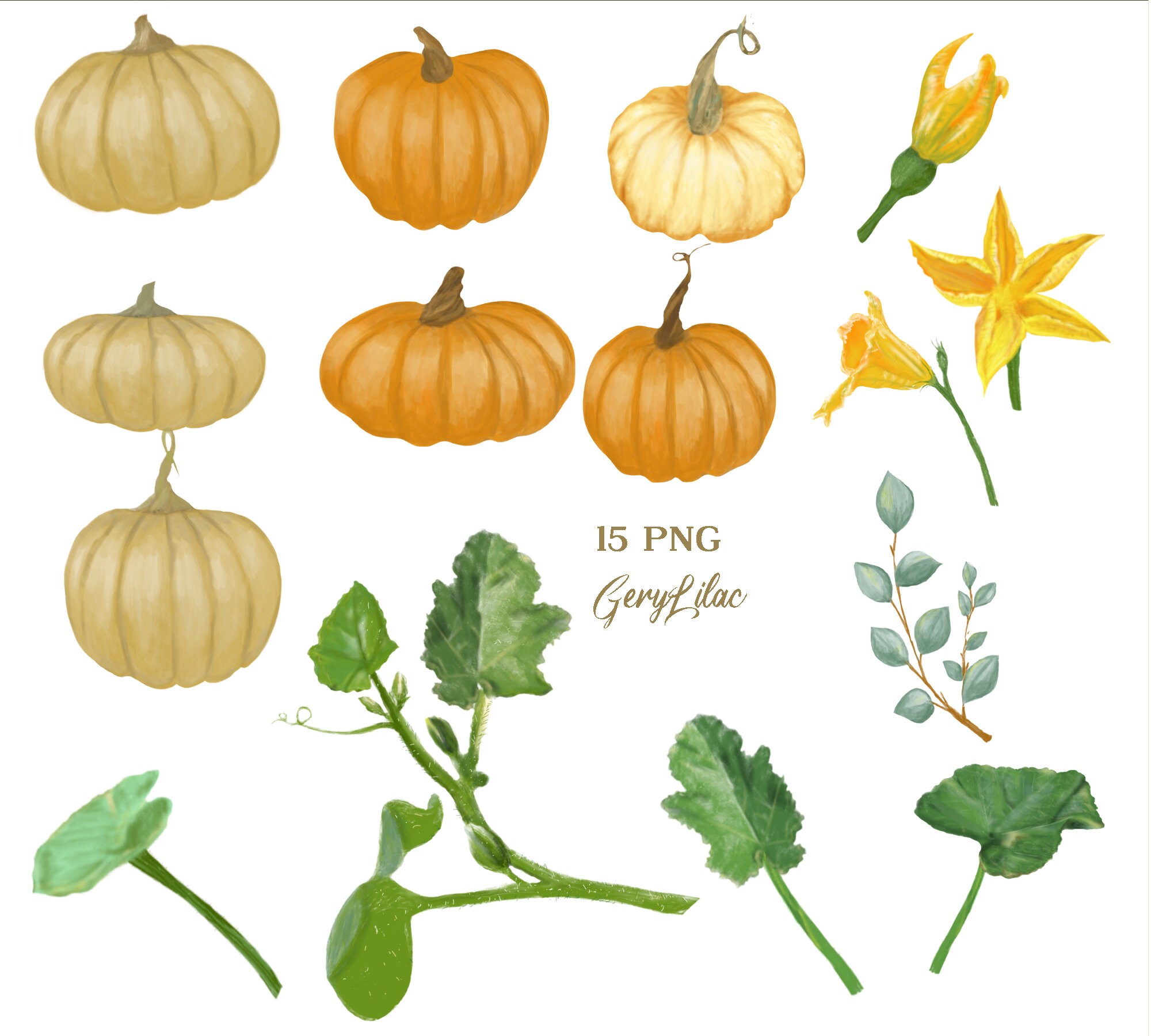 Watercolor Pumpkin Clipart Fall Clipart Thanksgiving Png - Etsy