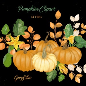 Orange Pumpkin Clipart Watercolor, Fall Clipart, Thanksgiving Png ...
