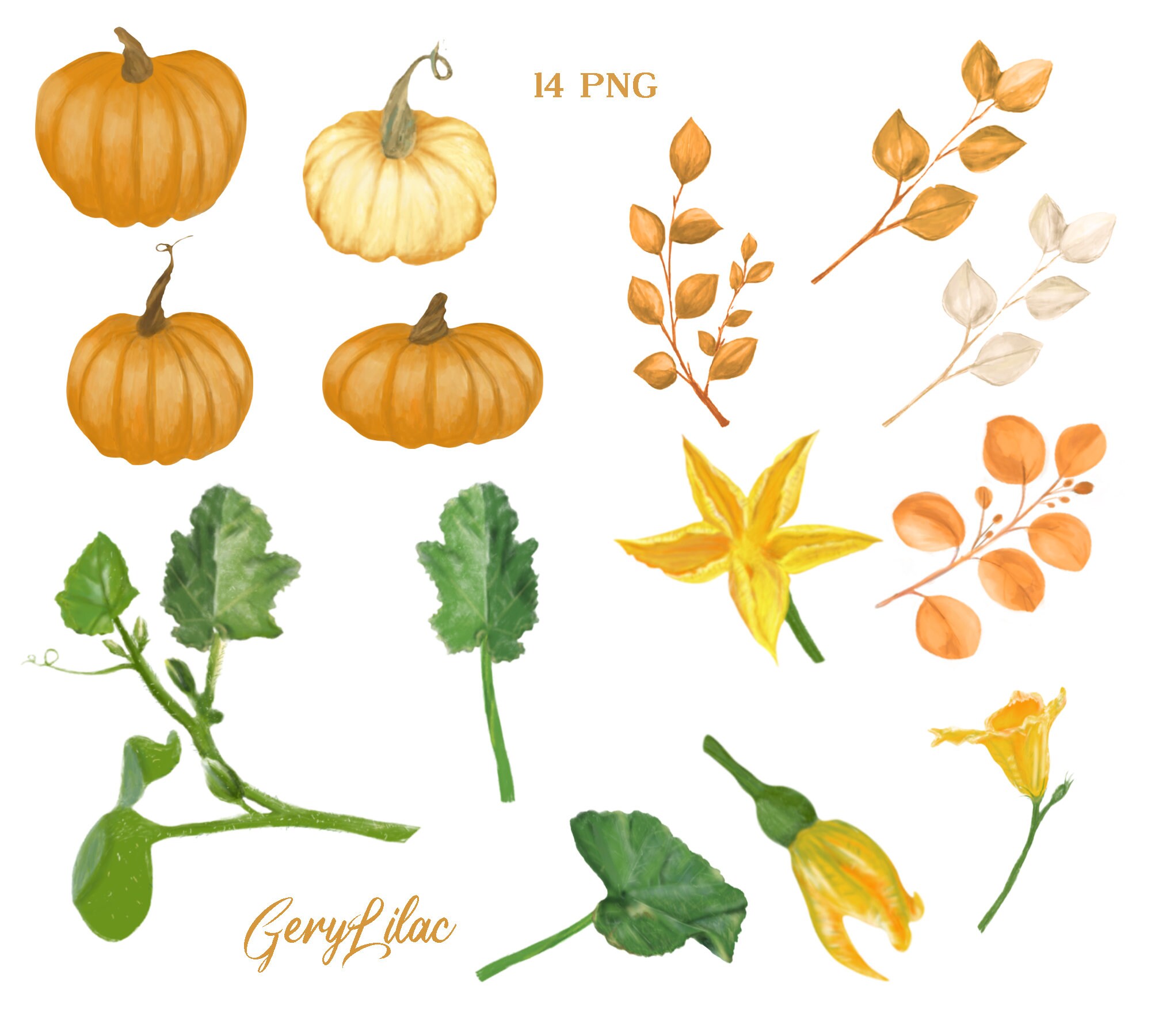 Orange Pumpkin Clipart Watercolor Fall Clipart Thanksgiving - Etsy
