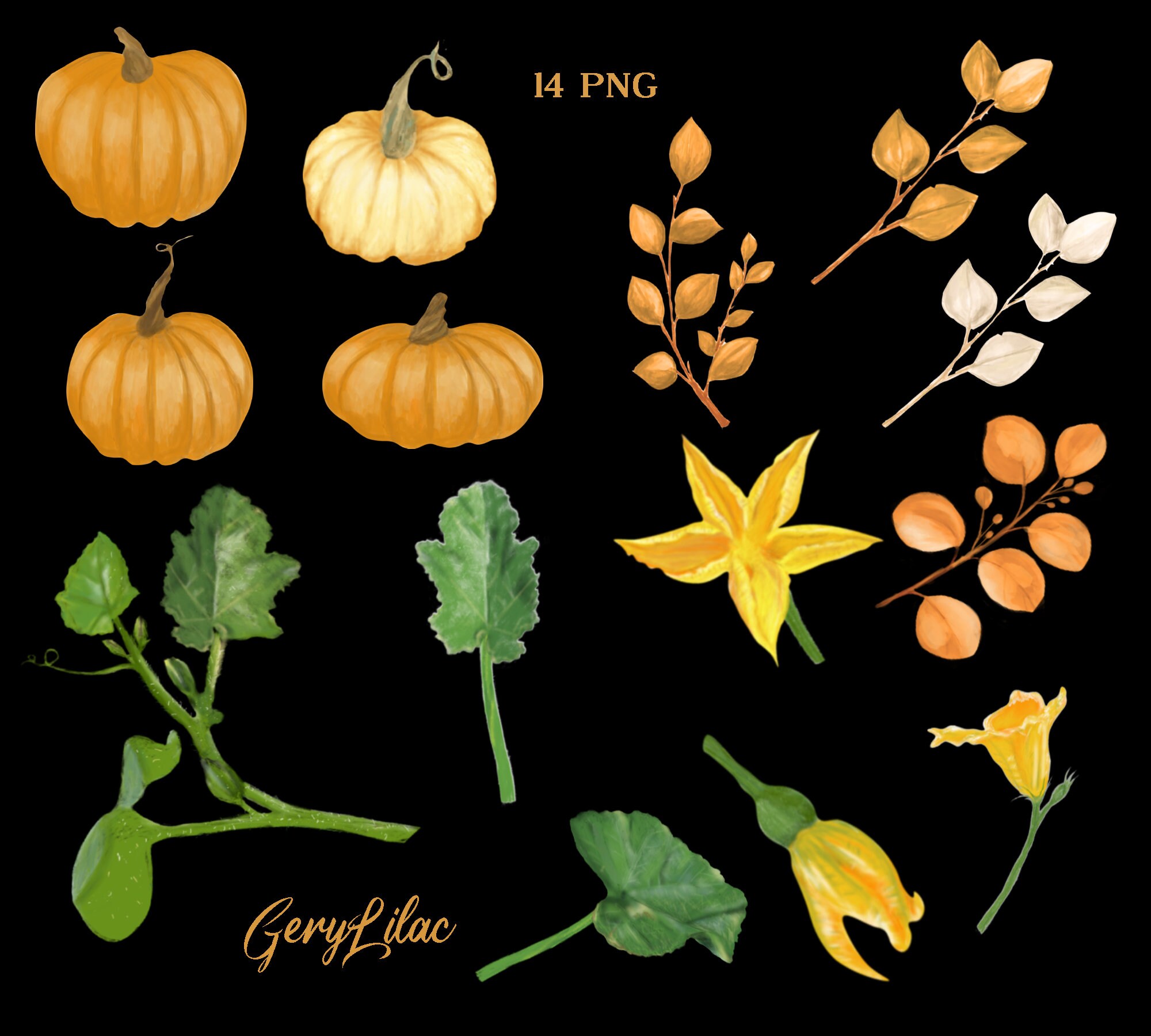 Orange Pumpkin Clipart Watercolor Fall Clipart Thanksgiving - Etsy