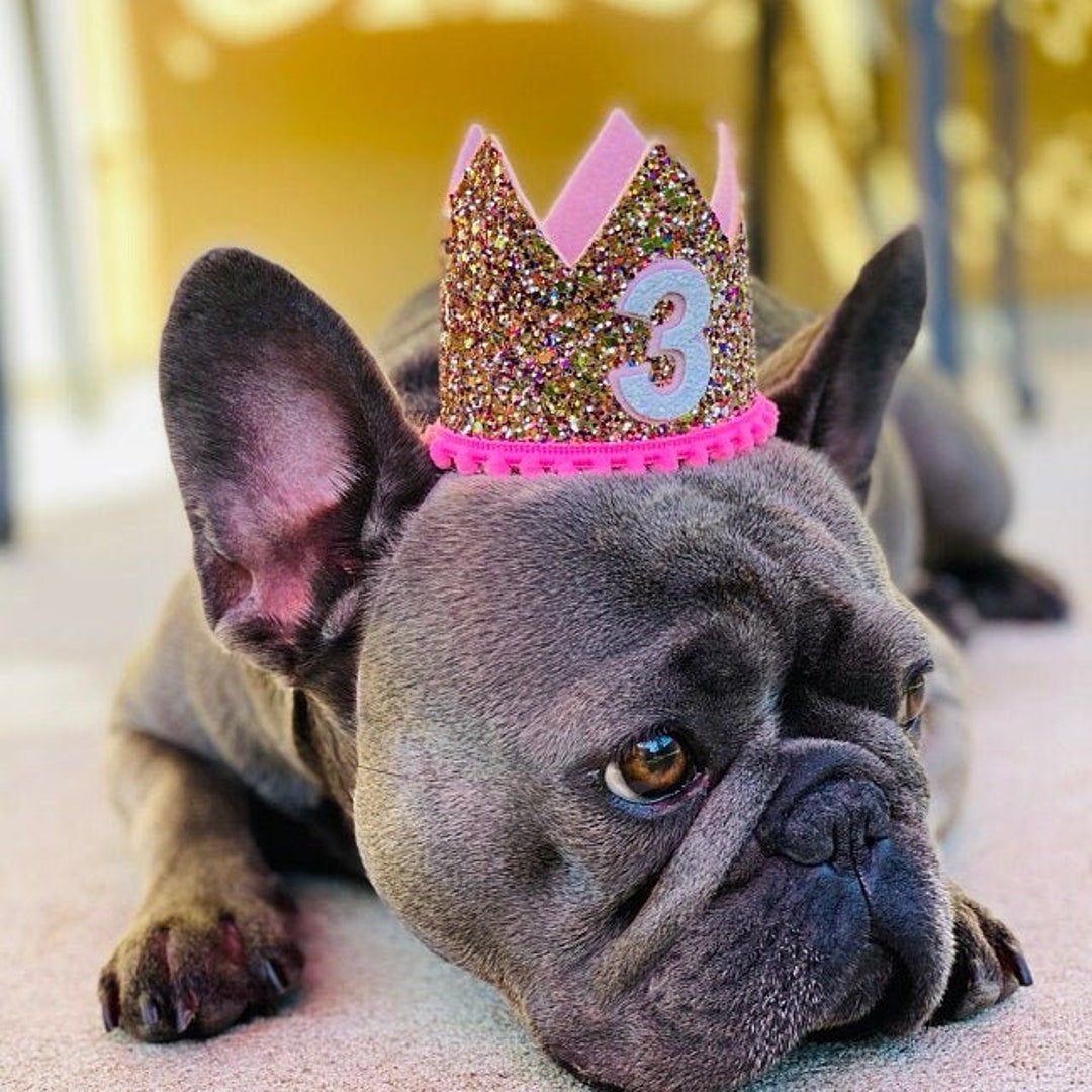 Glitter Dog Birthday Crown: Hot Pink Pom Trim, Pet Party Hat - Etsy