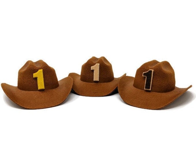 First Rodeo, Western Birthday, Cowboy Hat, Birthday Cowboy, Birthday ...