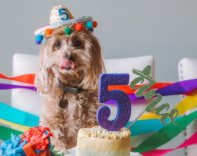 Pet Sombrero, Birthday Hat, Party Hat, Dog Party Hat, Any Number Party ...
