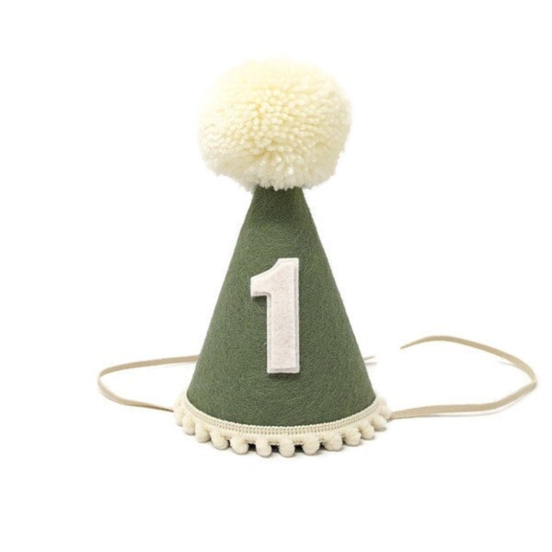 Olive Green Birthday Party Hat, First Birthday Party Hat, Boys First ...