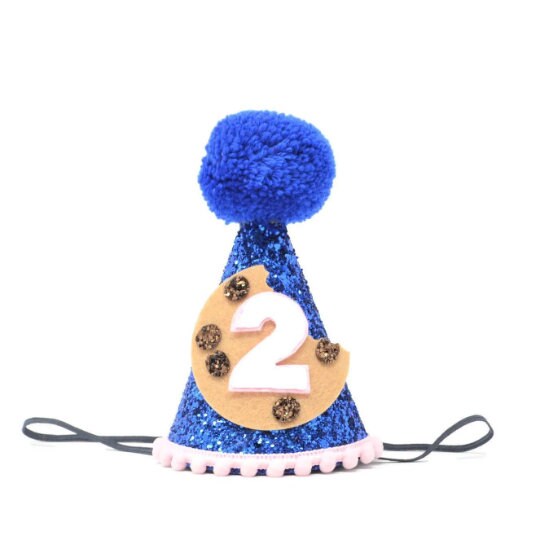 Chocolate Chip Cookie Hat, 1st Birthday Party Hat, Cookie Party, Little ...