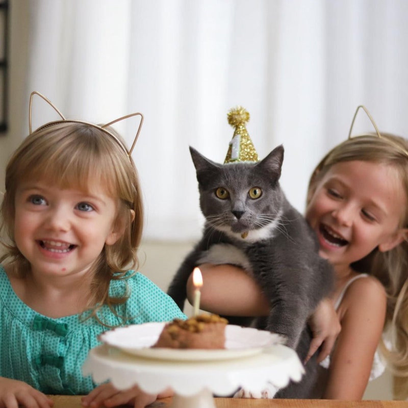 Cat Party Hats - Etsy