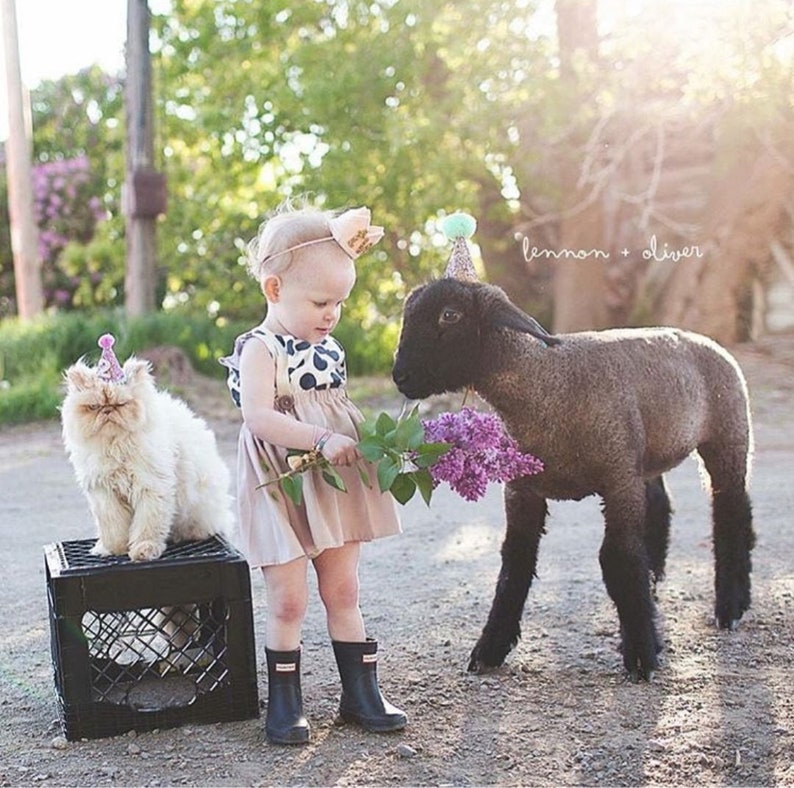 Pet Party Hat Party Hat Mermaid Cat Party Hat Dog Party - Etsy