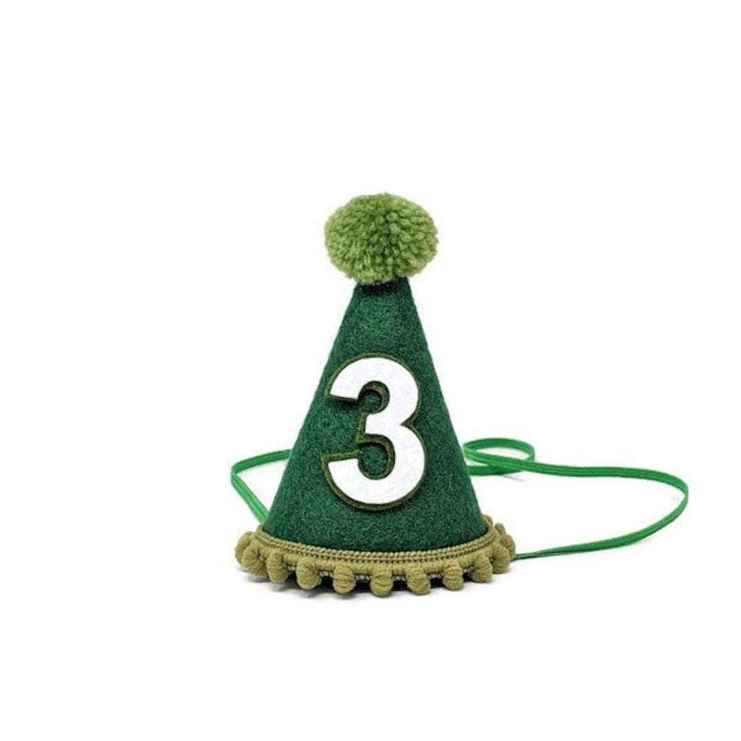Green Birthday Party Hat, Birthday Party Hat, Boys First Birthday ...