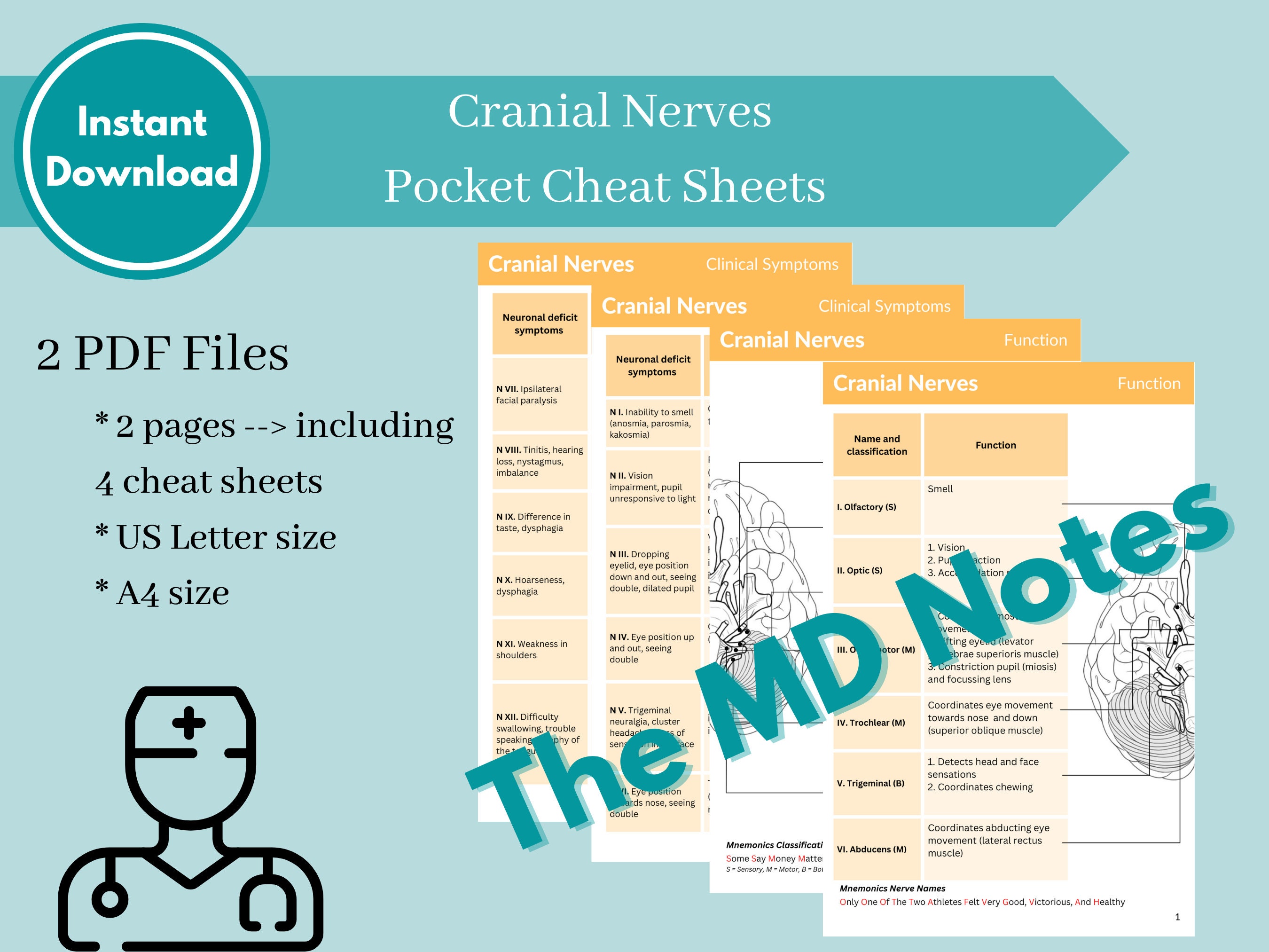 Cranial Nerves Study Cheat Sheet Neurology Medical Student - Etsy Canada