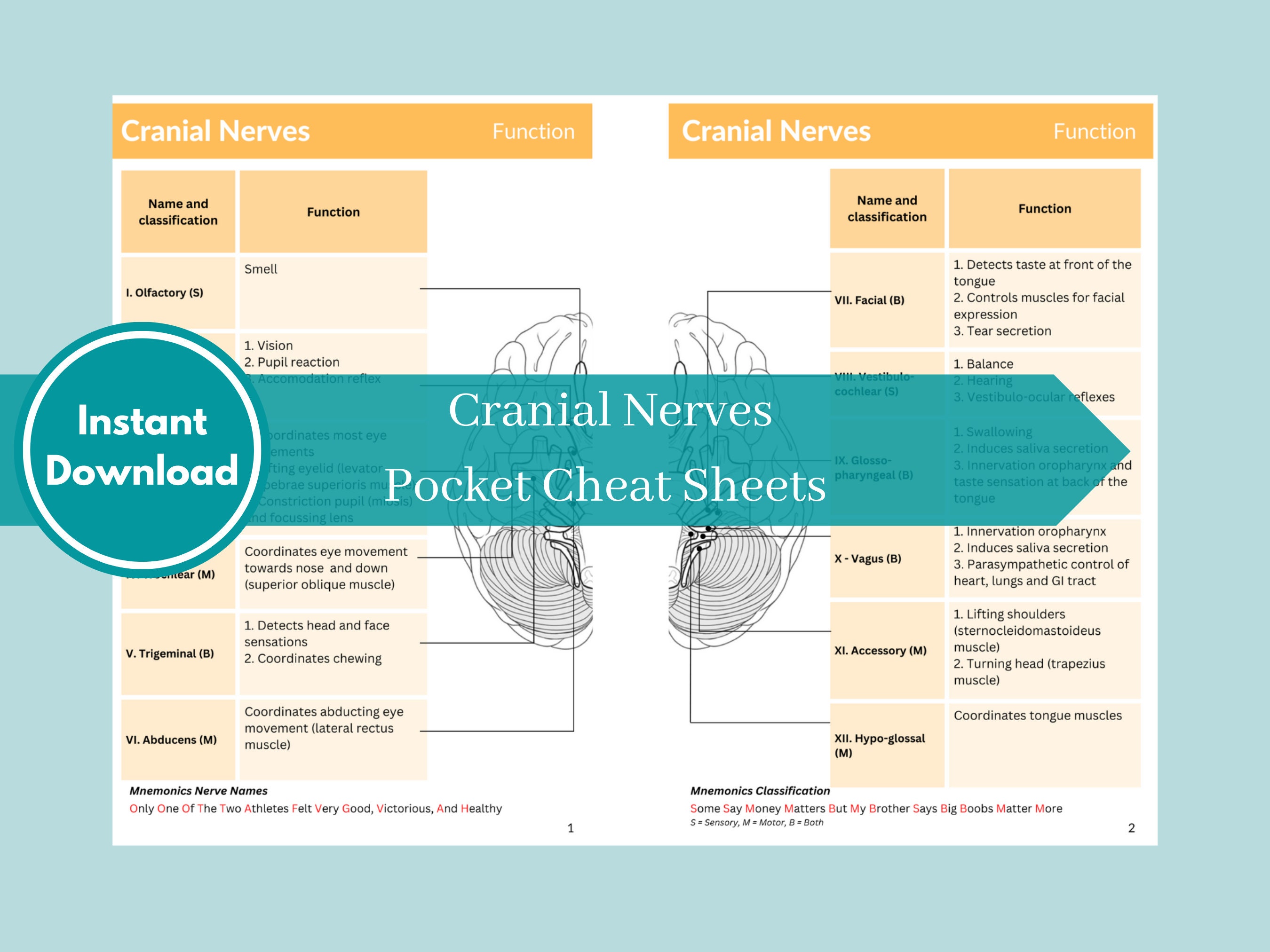 Cranial Nerves Study Cheat Sheet Neurology Medical Student - Etsy Canada