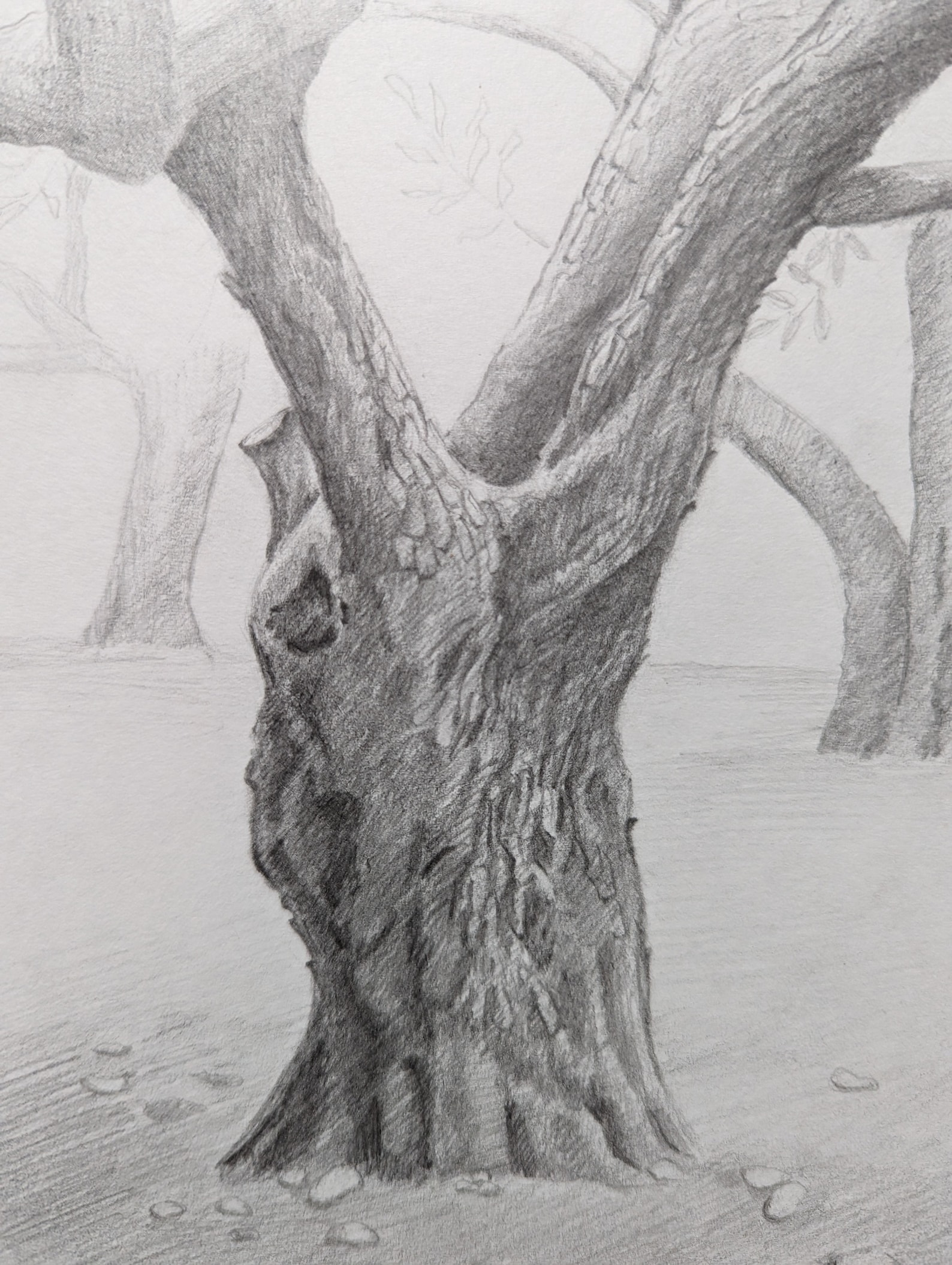 Trees Graphite Pencil Drawing Original Landscape Artwork Forest Hand ...