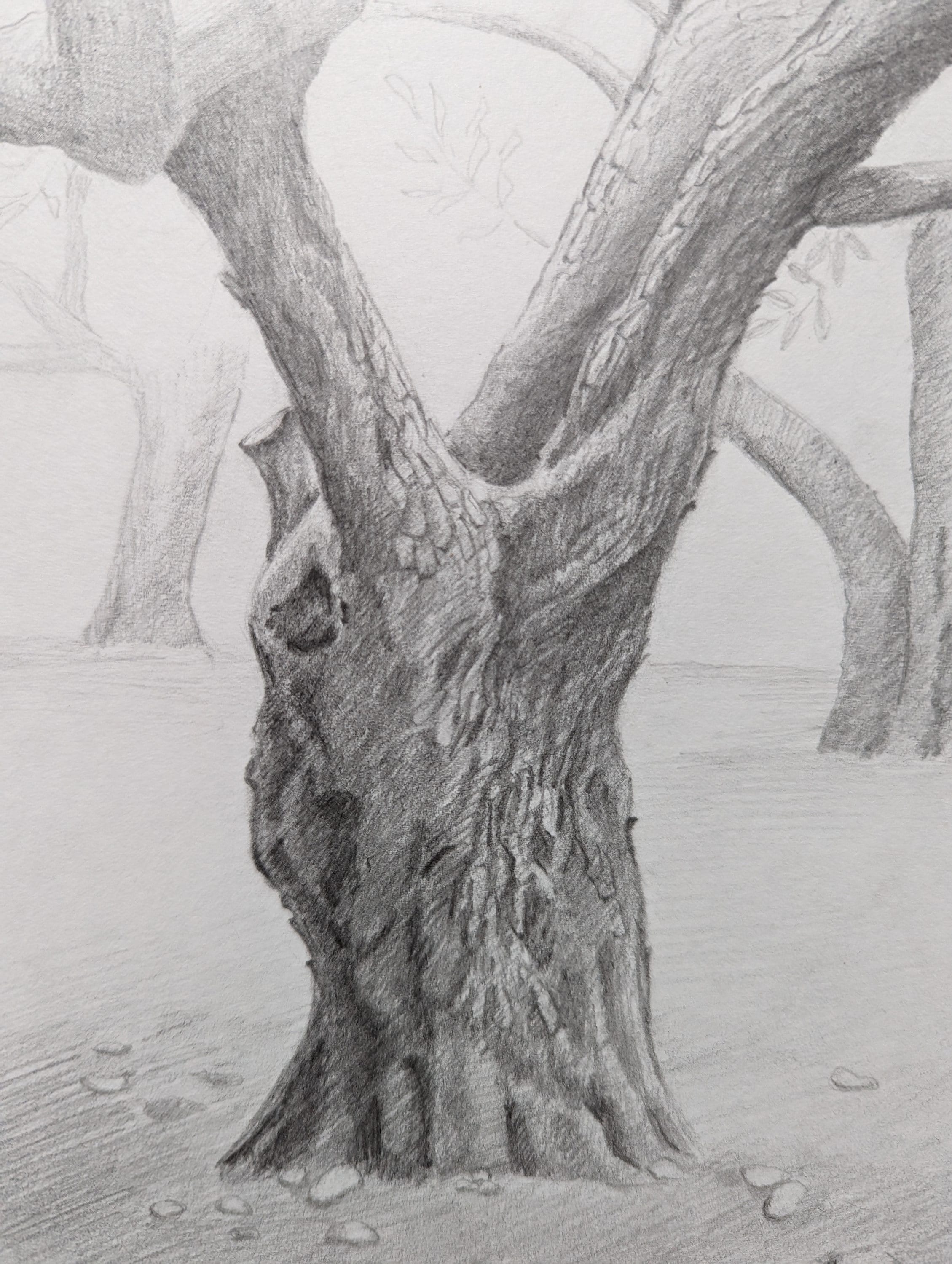 Trees Graphite Pencil Drawing Original Landscape Artwork Forest Hand ...