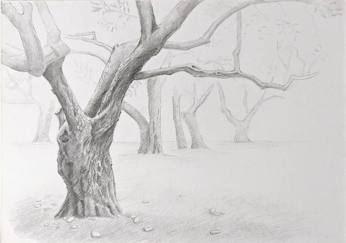 Trees Graphite Pencil Drawing Original Landscape Artwork Forest Hand ...