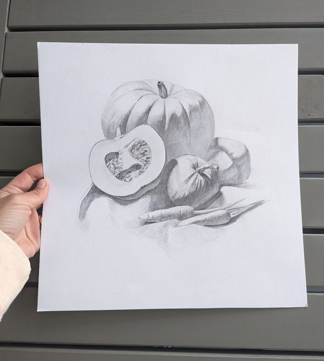 Pumpkin Still Life Original Graphite Pencil Drawing Autumn Realistic ...