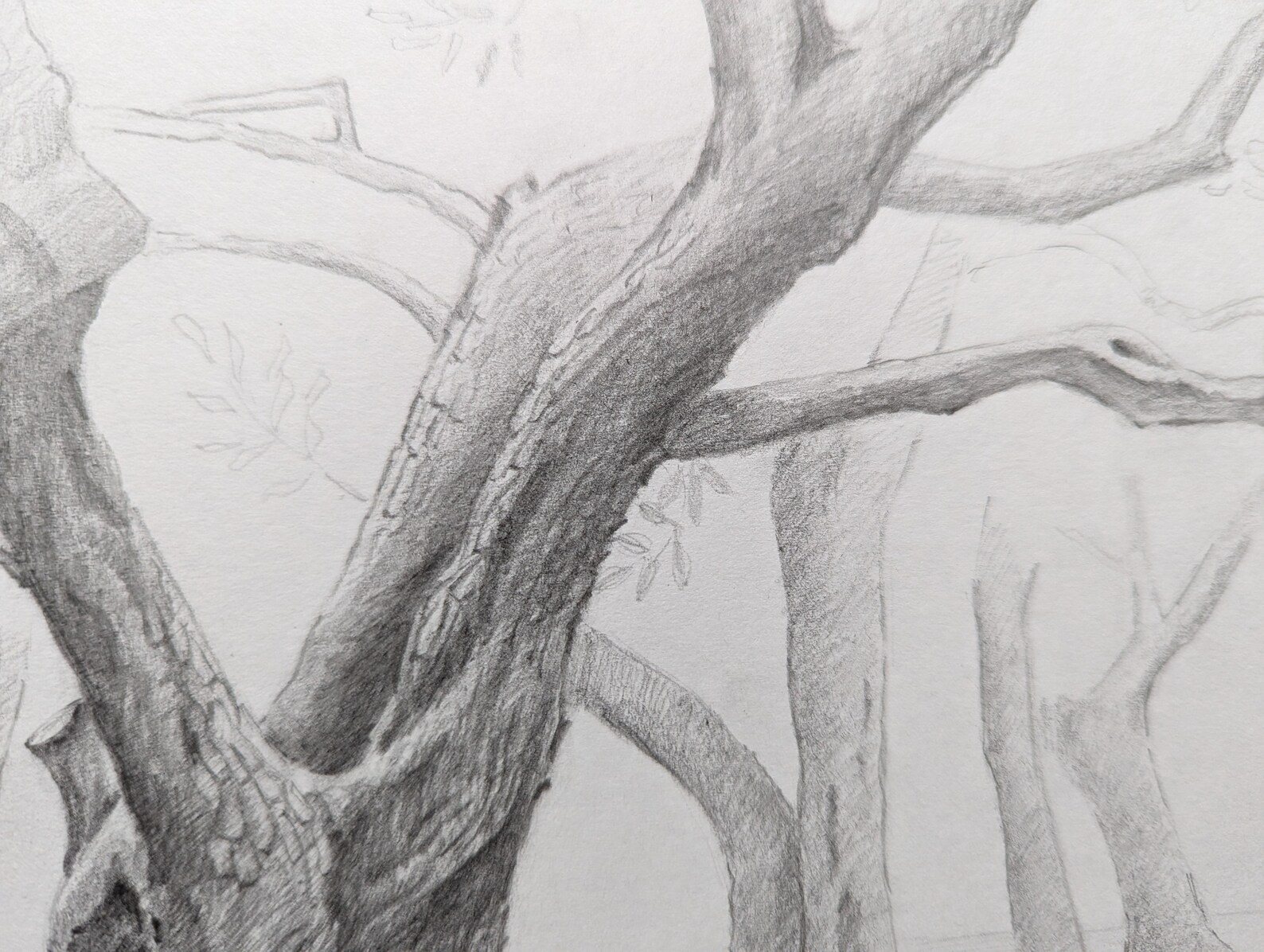 Trees Graphite Pencil Drawing Original Landscape Artwork Forest Hand ...