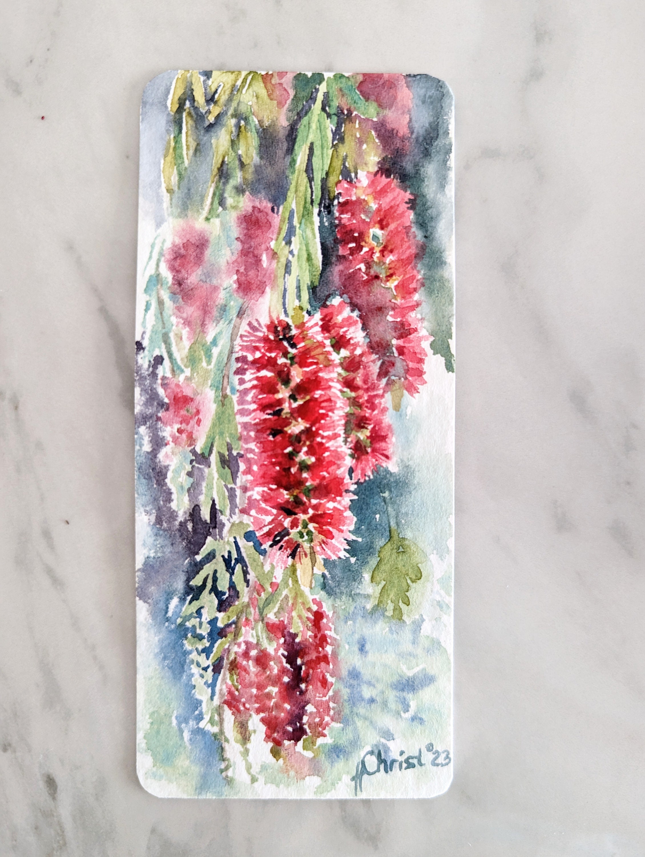 Callistemon Viminalis Watercolor Bookmark Original Hand Painted Red ...