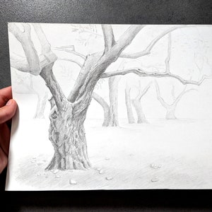 Trees Graphite Pencil Drawing Original Landscape Artwork Forest Hand ...