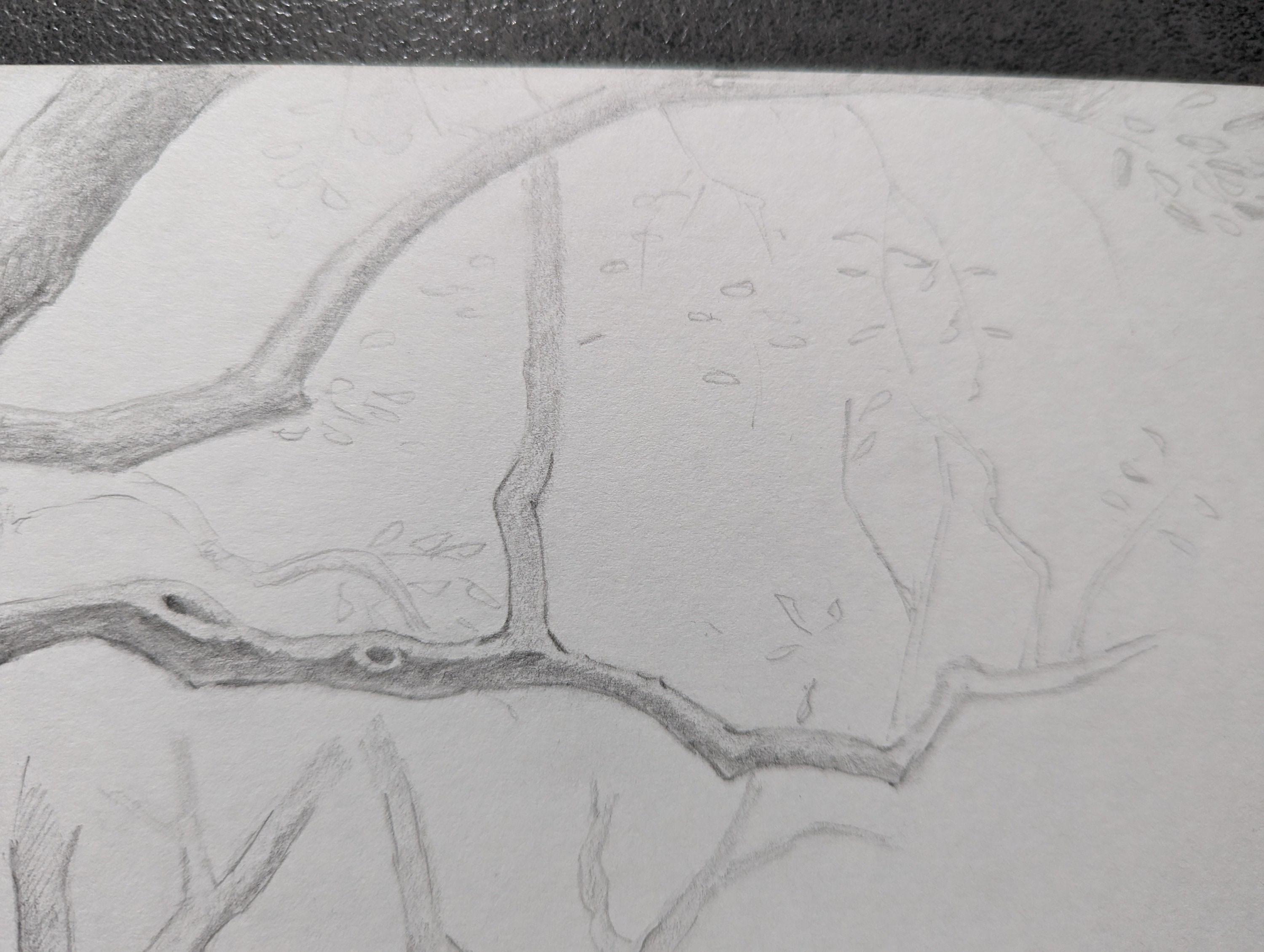 Trees Graphite Pencil Drawing Original Landscape Artwork Forest Hand ...