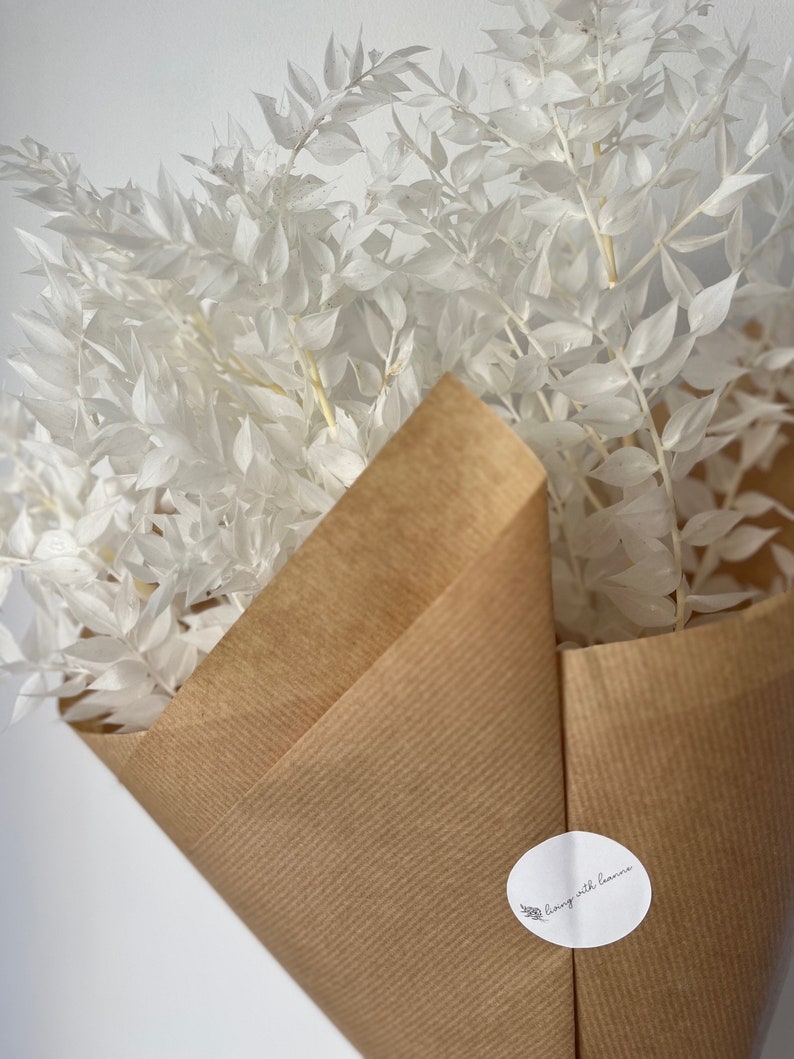 Preserved Ruscus | Bleached White | Dried Flowers - Etsy UK