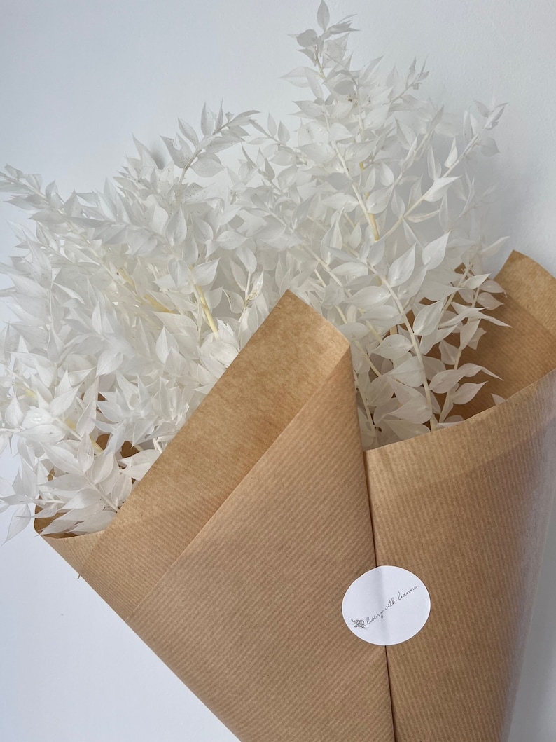 Preserved Ruscus | Bleached White | Dried Flowers - Etsy UK