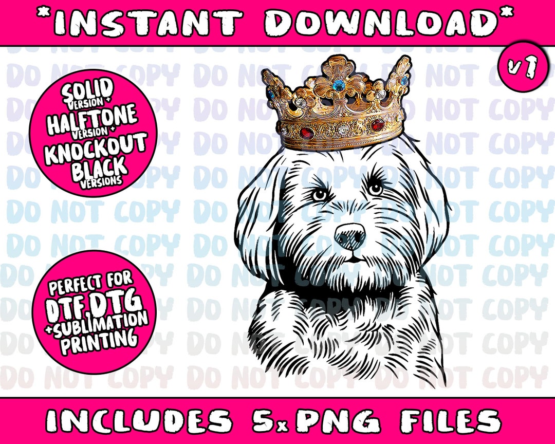 Cavapoo Dog Wearing Crown Png Bundle, Trending Png, Popular Printable ...
