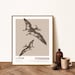 Pteranodon Print, Dinosaur Wall Art, Pterodactyl Printable, Bauhaus ...