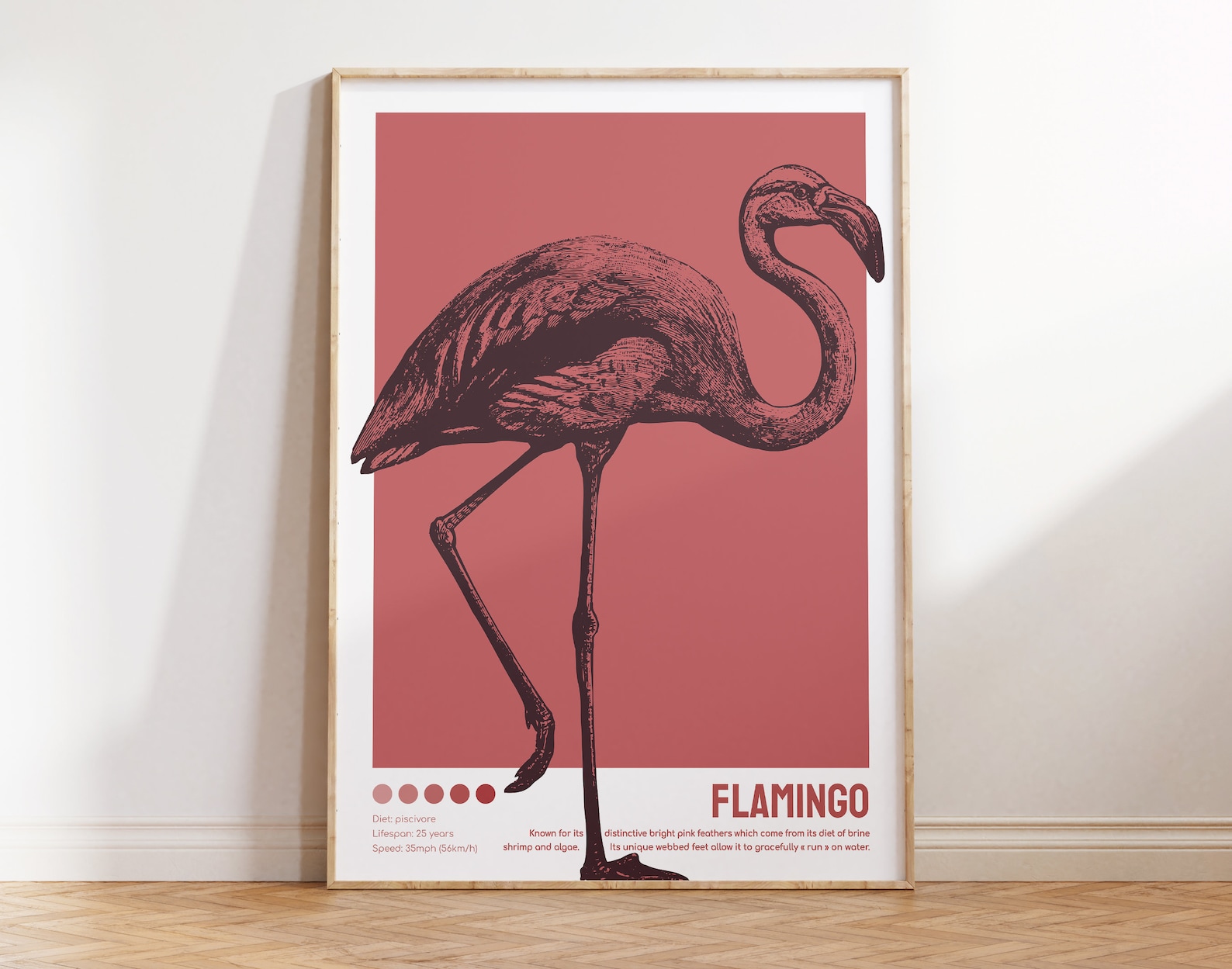 Flamingo Decor, Lesser Flamingo Print, Pink Nursery Printable, Safari ...