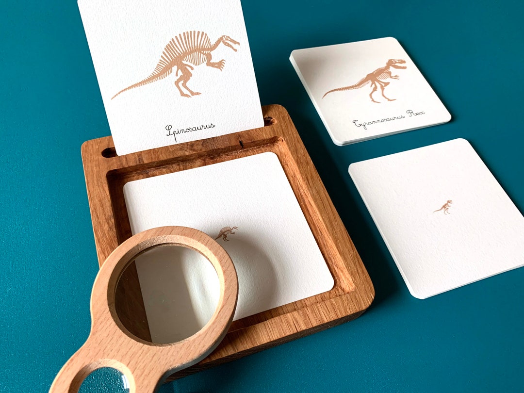Dinosaur Skeleton Magnifying Activity, Fossil Montessori Flashcards ...